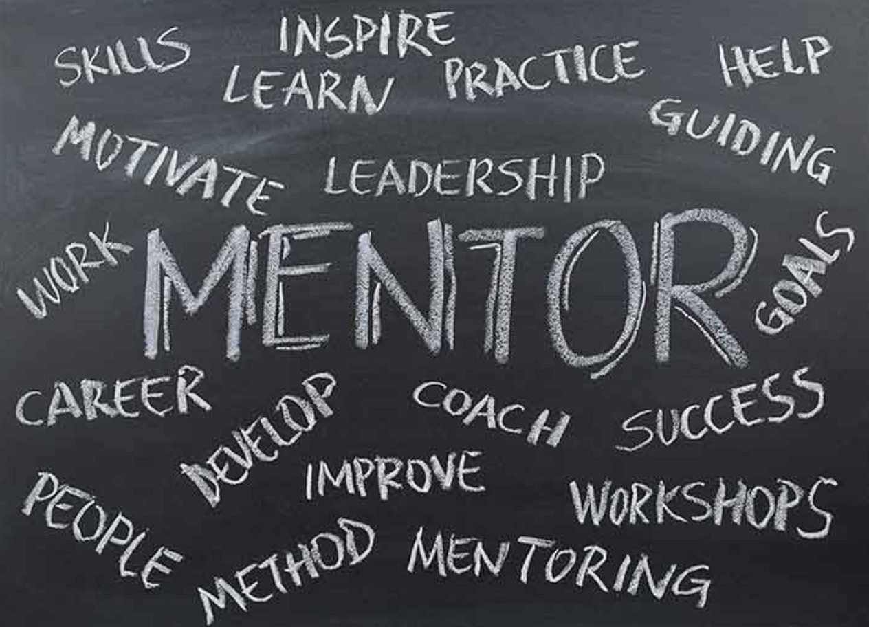 FMSB Initiates Board Mentoring Programme - The Full FX